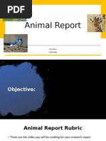 Writing An Animal Report | PDF | Adaptation | Wasp