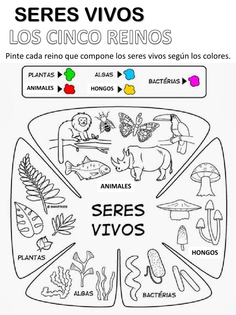 Los Reinos Actividad Colorear Pdf