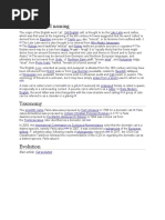 The Cat | PDF | Cats | Domesticated Animals