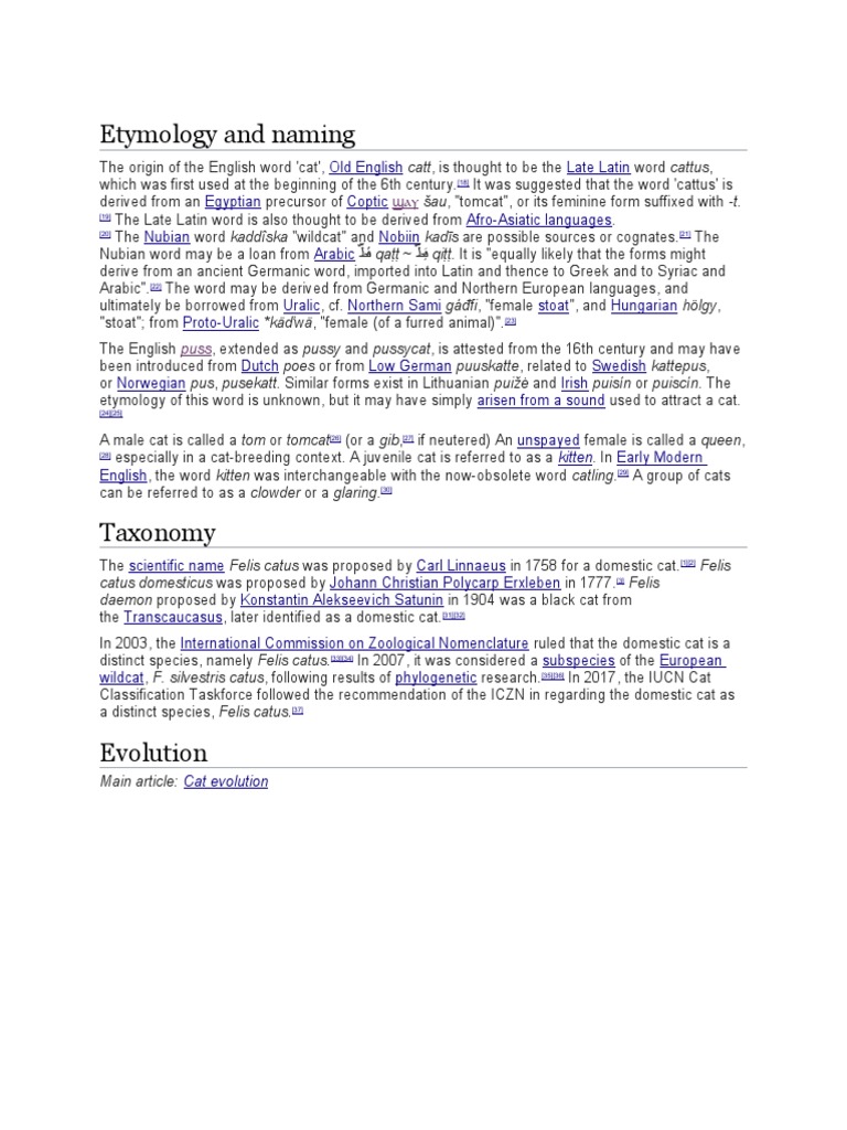 Cats Example | PDF | Cats | Claw