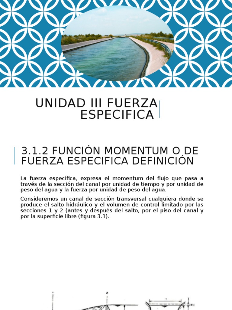 Unidad III Fuerza Especifica | PDF | Fuerza | Impulso
