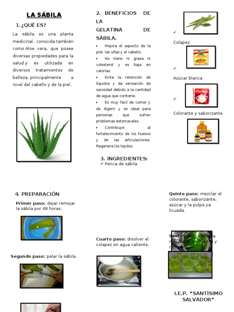 La Sábila | PDF | Naturaleza