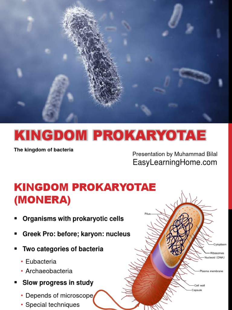 06 Kingdom Prokaryotae | PDF | Cyanobacteria | Bacteria