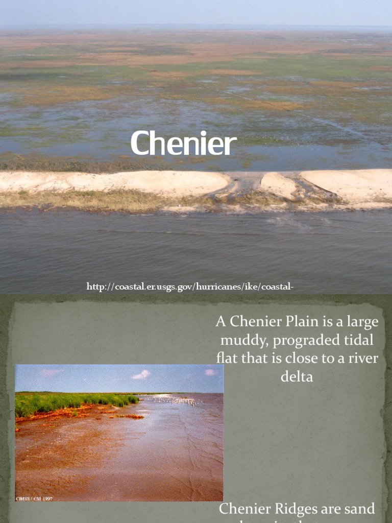 Chenier Presentation | PDF | Science & Mathematics