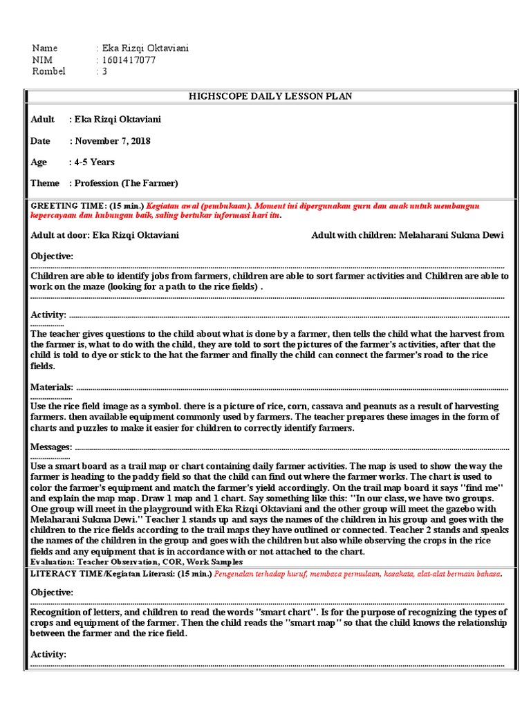 High Scope Lesson Plan | PDF | Cognition | Psychological Concepts