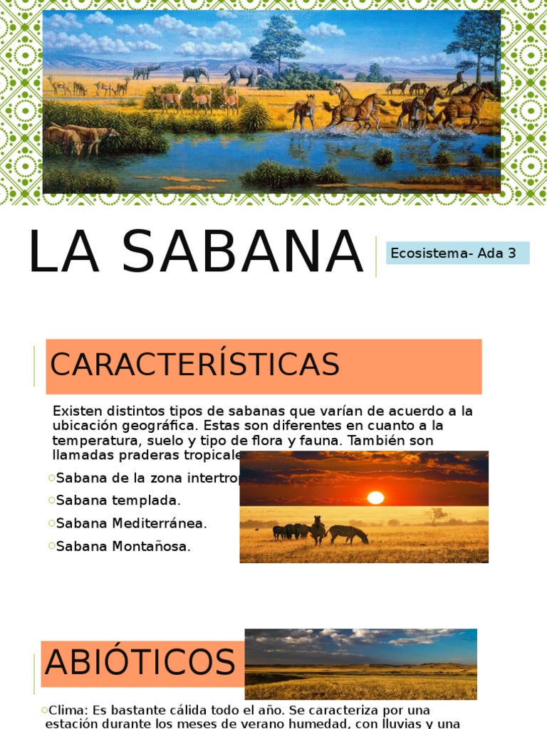 Características del ecosistema sabana | PDF | Zona tropical | Clima
