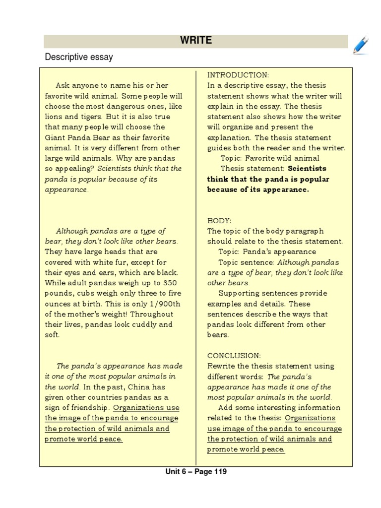 Descriptive Essay: Write | PDF | Giant Panda | Bears