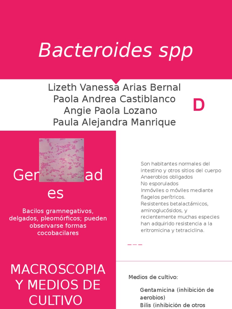 Bacteroides SPP | PDF | Antibióticos | Especialidades Medicas