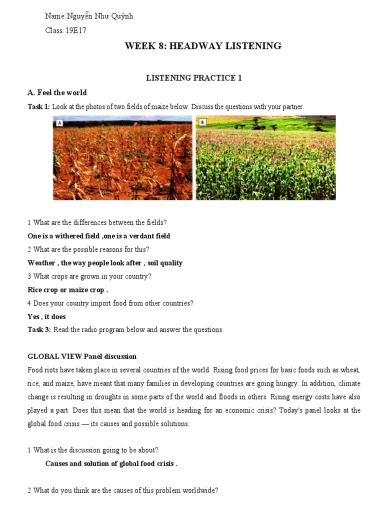 Week 8: Headway Listening: Listening Practice 1 A. Feel The World | PDF ...