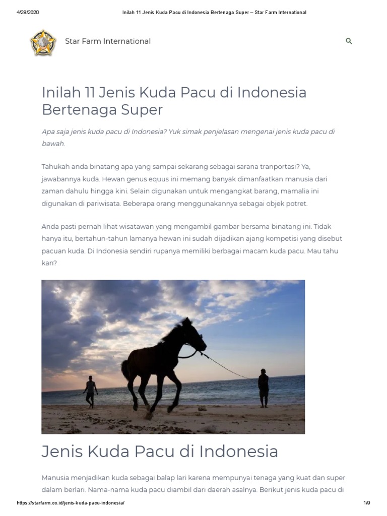 11 Jenis Kuda Pacu Di Indonesia | PDF