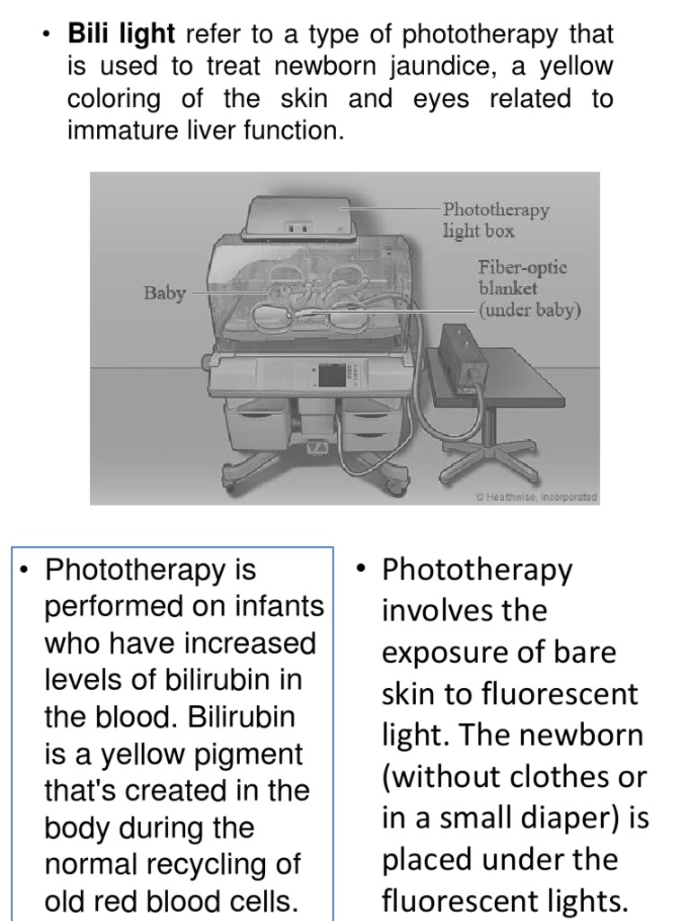 Bili Light | PDF | Social Science | Wellness