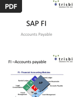 Configuration Steps of Automatic Payment Program Setup in S4 HANA | PDF