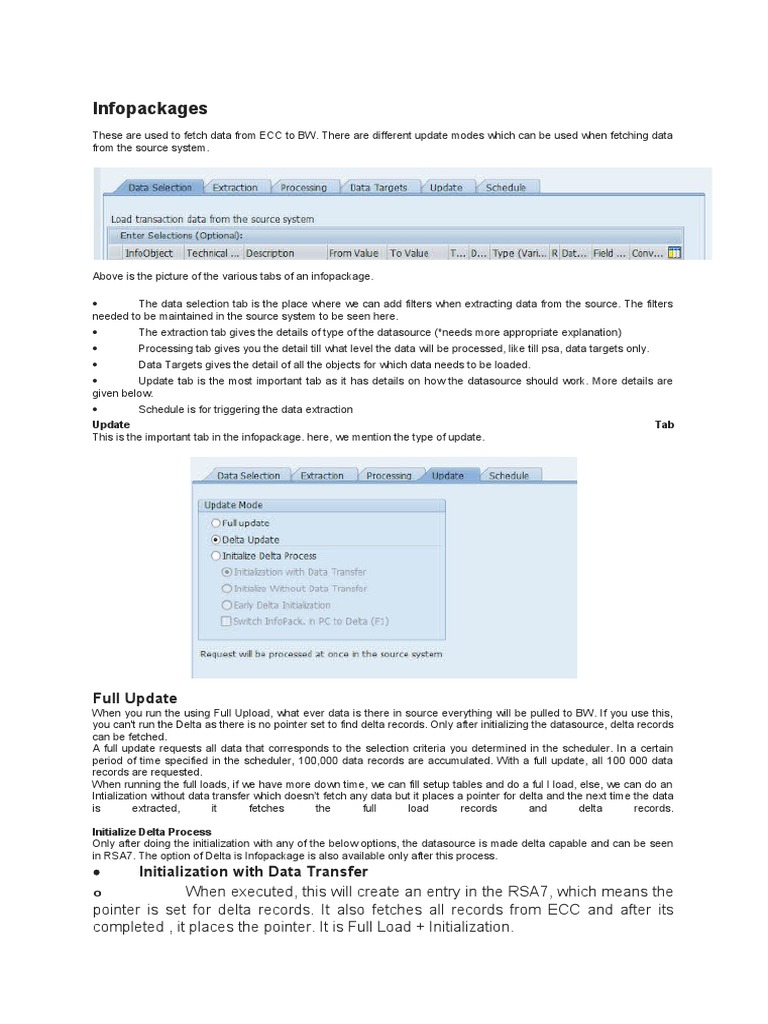 Infopackages in Detail | PDF | Pointer (Computer Programming ...