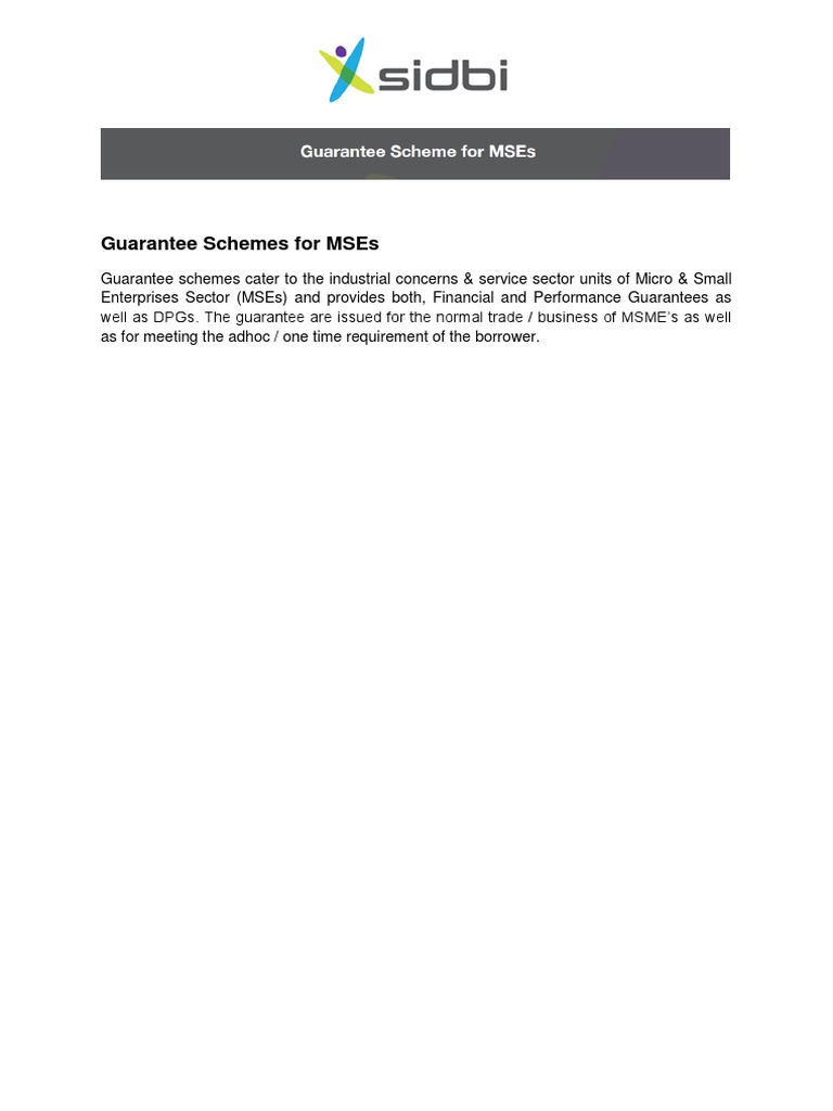 MSE Guarantee Schemes Overview | PDF | Business