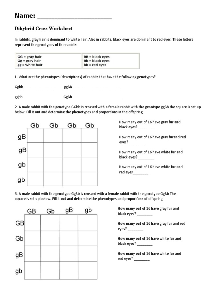 Activities Dihybrid Cross