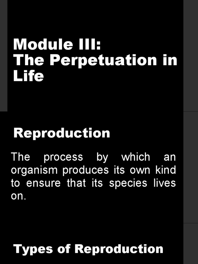 The Perpetuation in Life | PDF | Human Digestive System | Sexual ...