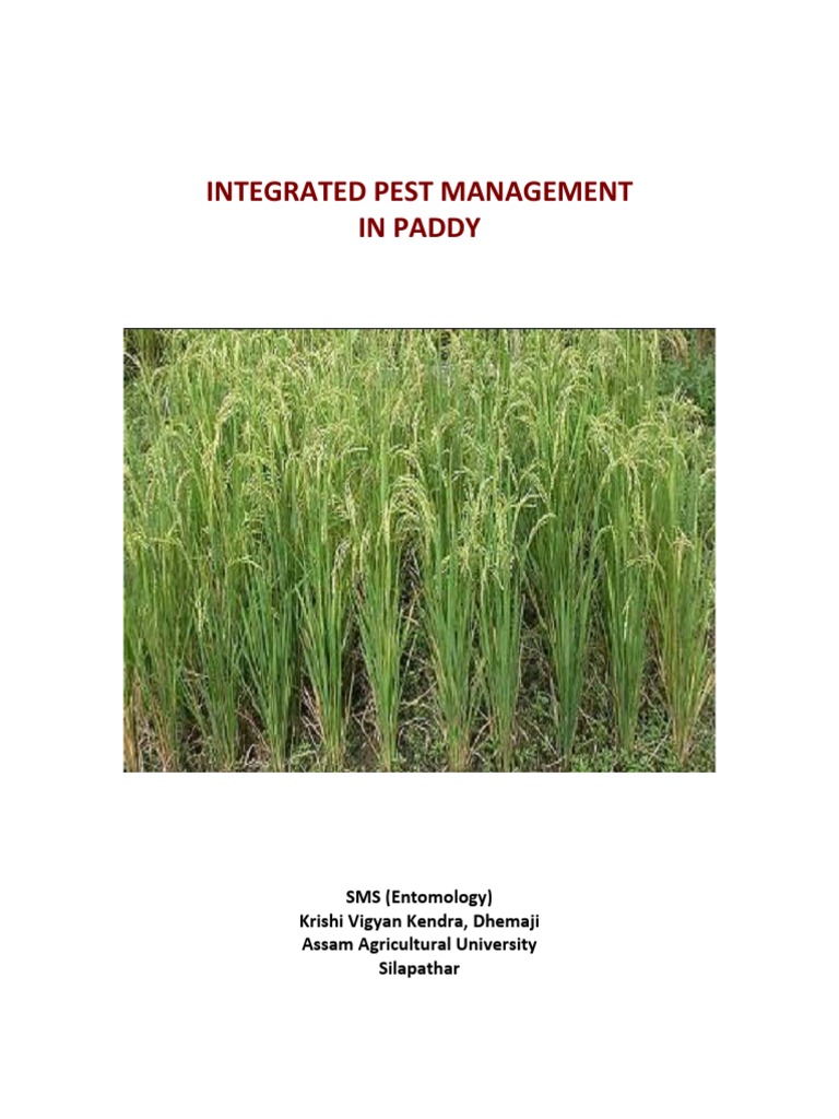 Case Study: Intergrated Pest Management in The Paddy | PDF | Rice ...