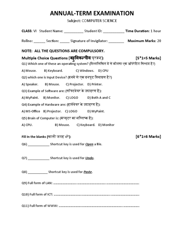 Grade 6 Computer Science Exam | PDF