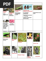 Sea Creatures List, Prices, Shadow Sizes, and Times ACNH - Animal ...