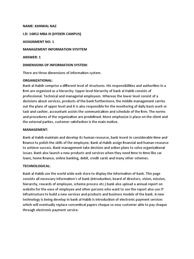 MIS Assignment 1 | PDF | Information System | Business Intelligence