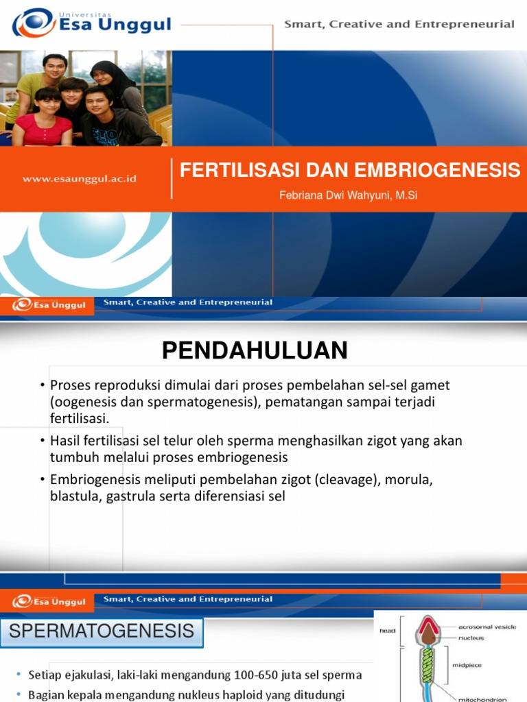 (Pertemuan Ke-4) Fertilisasi Dan Embriogenesis PDF | PDF