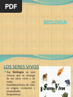 Phylum Arthropoda - Infografía | PDF | Insectos | Araña