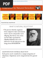 Evolution Study Guide Answer Key - Verona School District | PDF ...