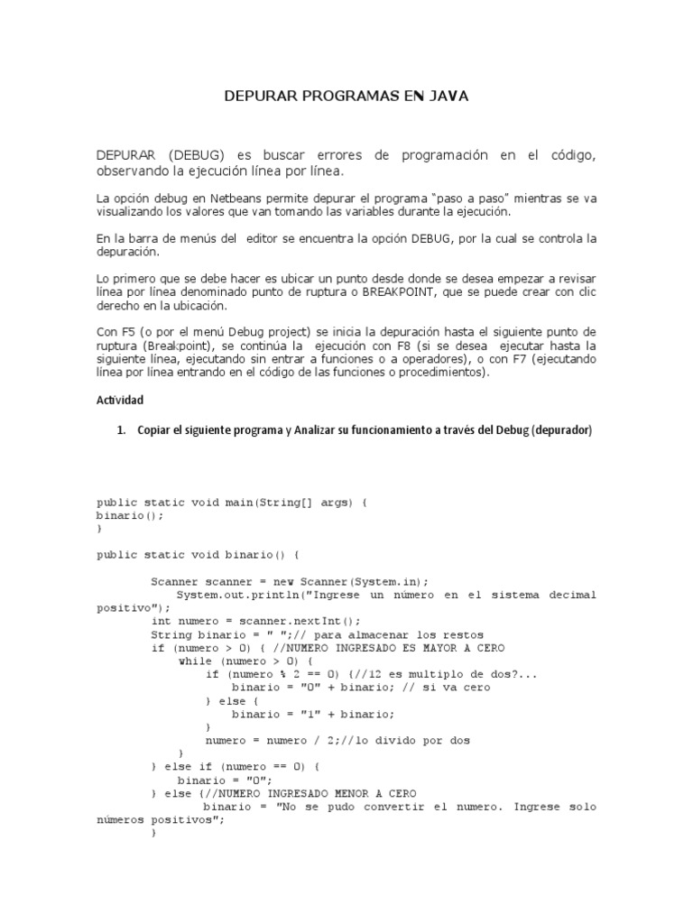 Depuración de Errores - Netbeans Debug | PDF | Programa de computadora | Programación