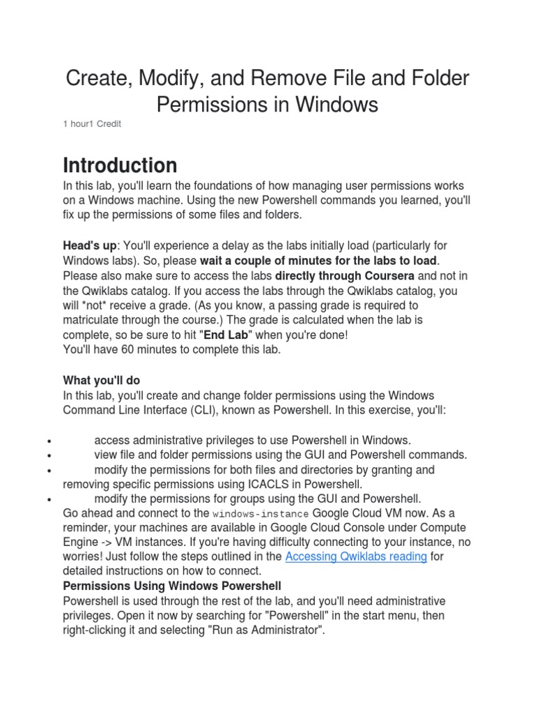 Windows File Permissions Lab | PDF | Computer File | Command Line Interface