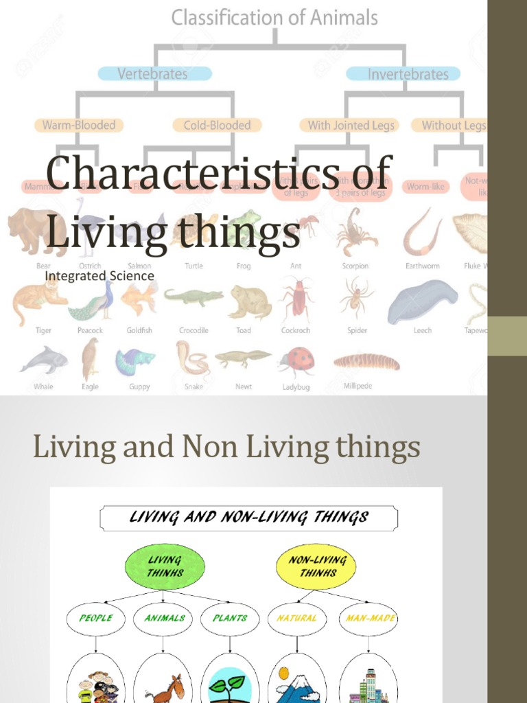 Characteristics of Living Things | PDF | Organisms | Fungus