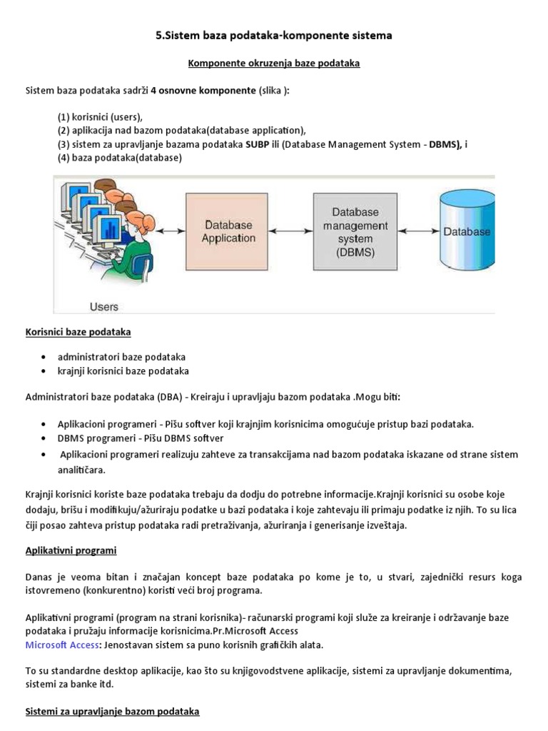 5.sistem Baza Podataka | PDF