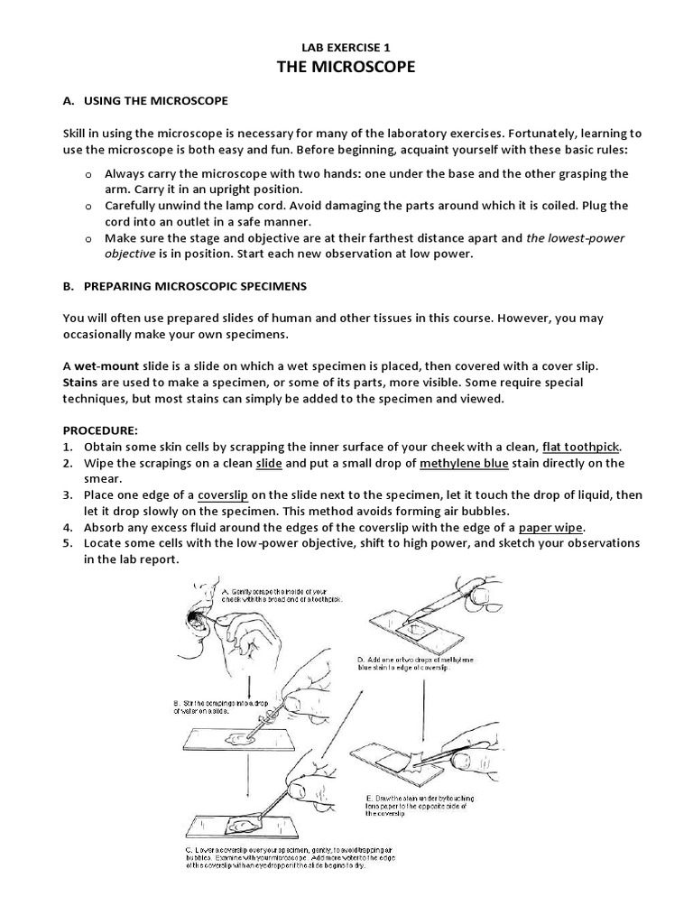 Lab Exercise 1 | PDF | Microscope | Microscopy Lab Exercise 1 | PDF | Microscope | Microscopy