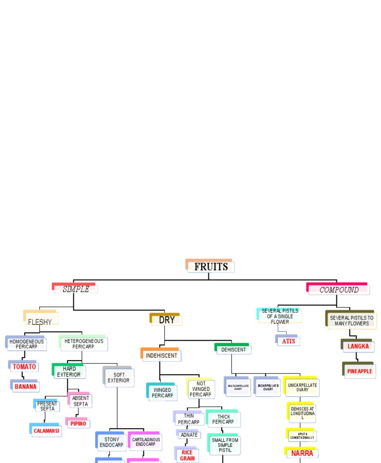 Fruit Types Dichotomous Key | PDF | Fruit | Horticultural Techniques
