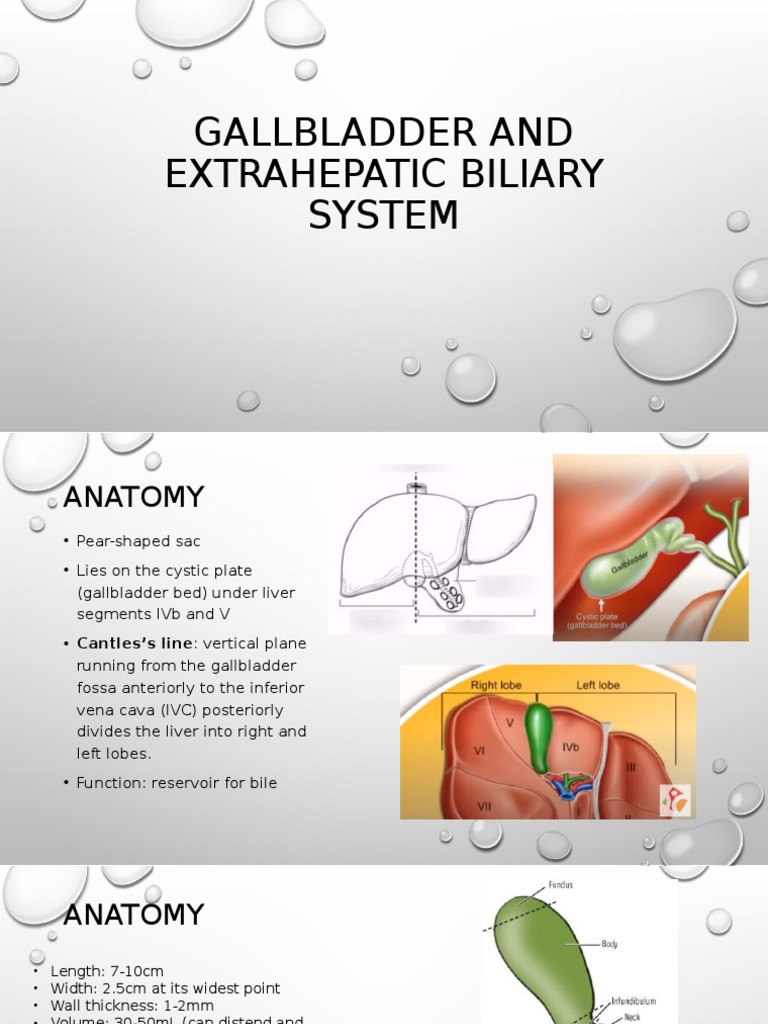 Chapter 32 Gallbladder and The Extrahepatic Biliary System | PDF ...