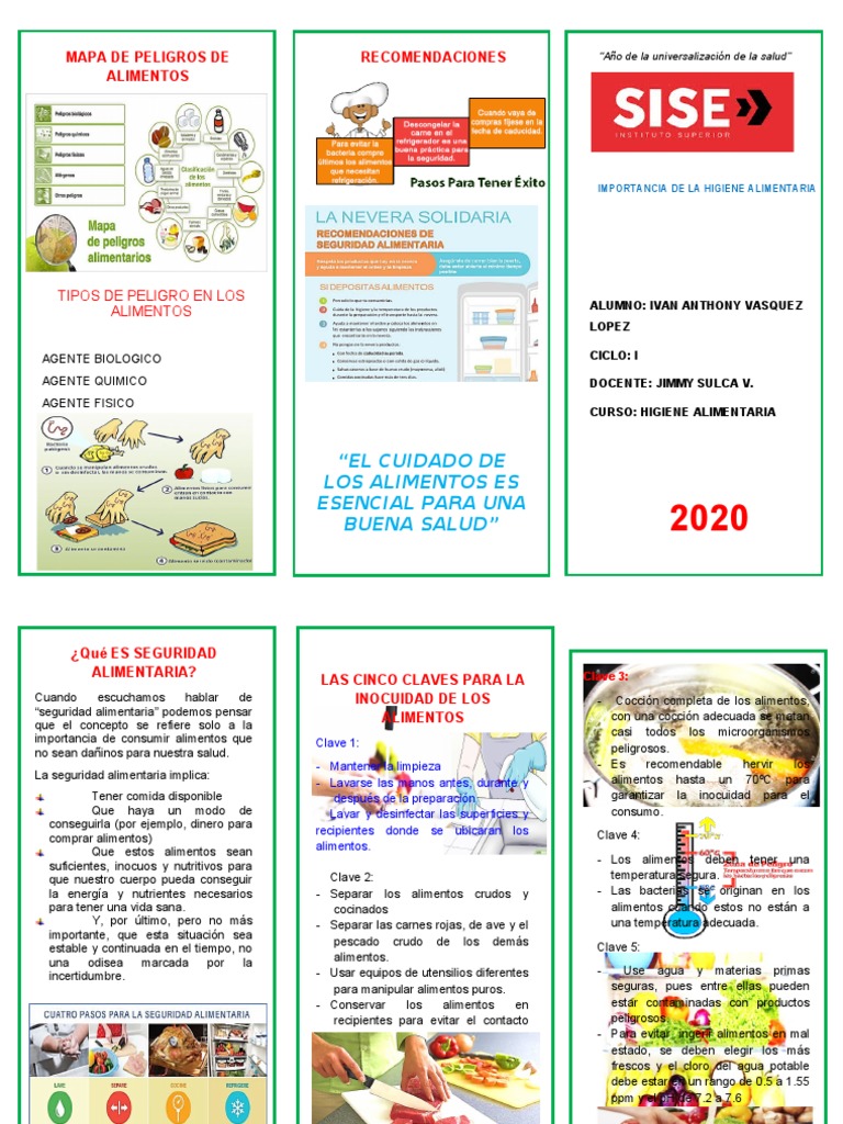 Triptico de Higiene Alimentaria | PDF | Seguridad alimenticia | Alimentos