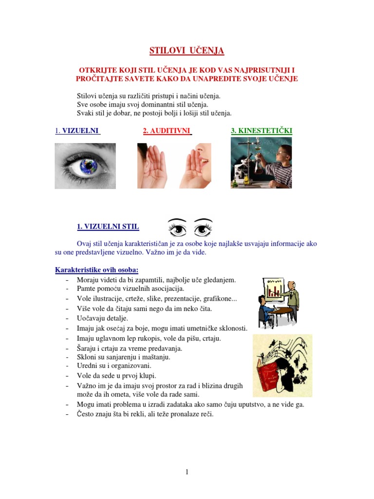 Stilovi Ucenja I Saveti Za Ucenje PDF | PDF