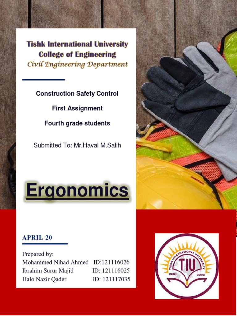 Ergonomics Assignment Mohammed Nihad | PDF | Human Factors And ...