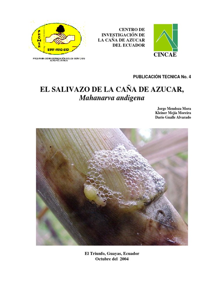 Publicación-Técnica-N°-4-Salivazo en Caña de Azucar | PDF | Hoja | Huevo