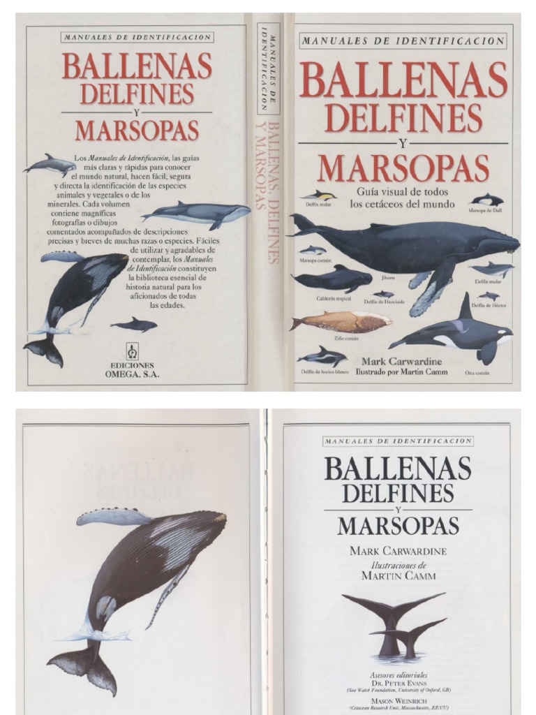 Ballenas, Delfines y Marsopas, Manuales de Identificación - Mark ...