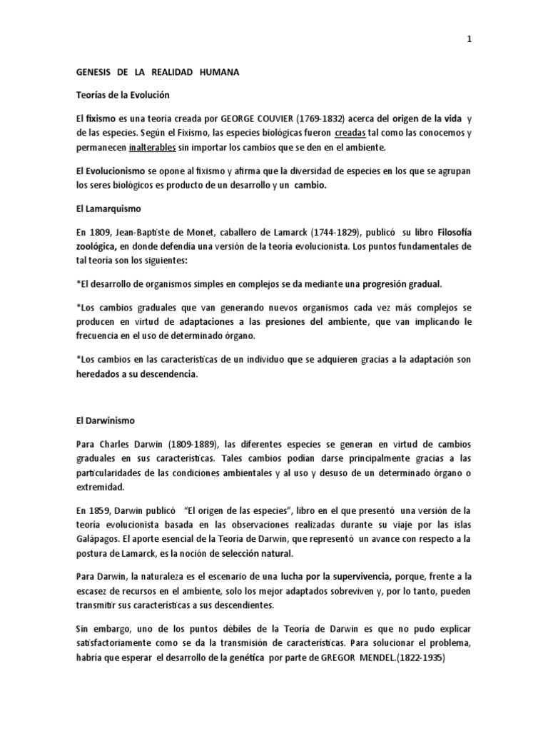 Genesis de La Realidad Humana Filosofia Grado 10 Recuperacion | PDF ...