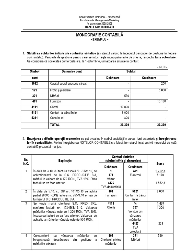 Monografie Contabila Exemplu Mm
