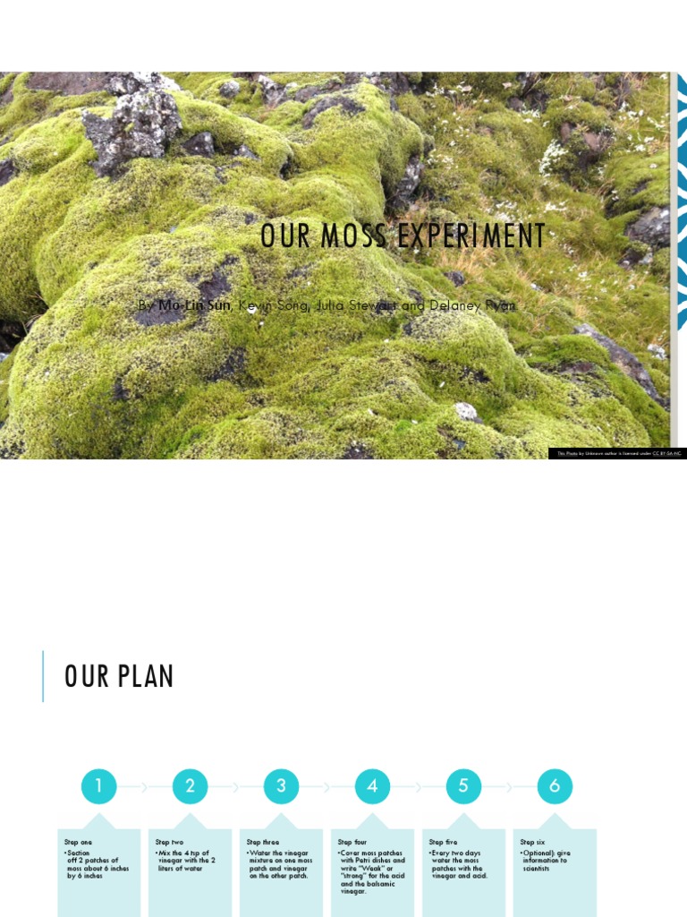 Moss Part One | PDF