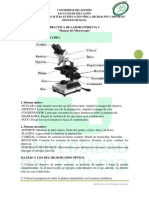 Poliaminas, Biosíntesis de Putrescina, Espermina, Espermidina | PDF ...