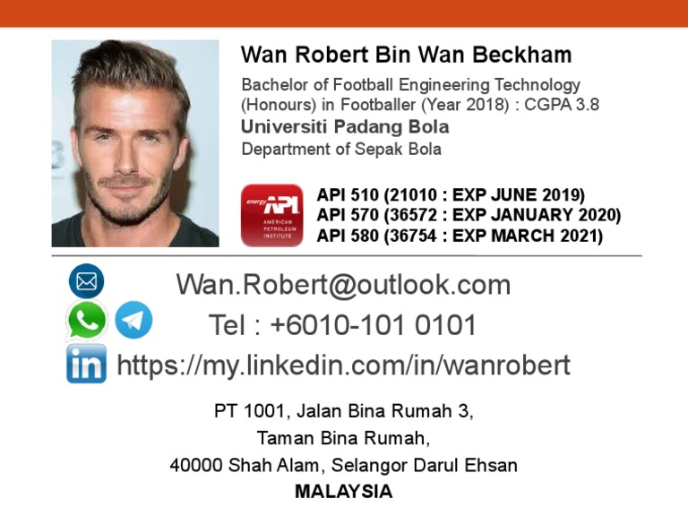 Professional Profile of Wan Robert | PDF