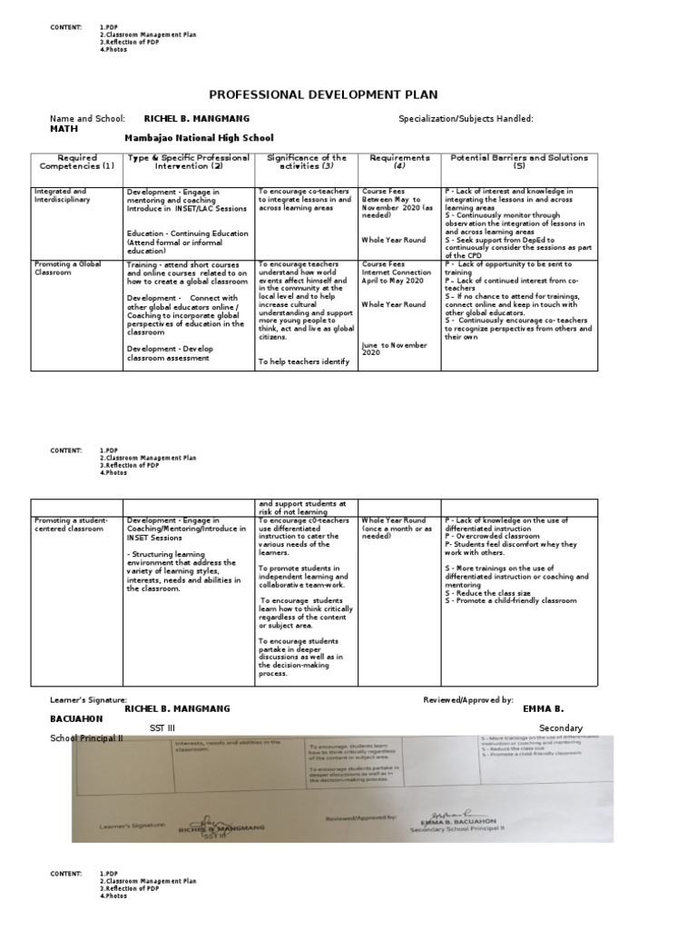 Professional Development & Classroom Plan | PDF | Mentorship ...