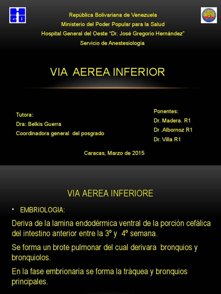 Via Aerea Inferior | PDF | Pulmón | Tórax