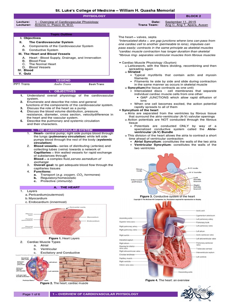 01 - Overview of The Cardiovascular Physiology - ACP | PDF | Heart ...