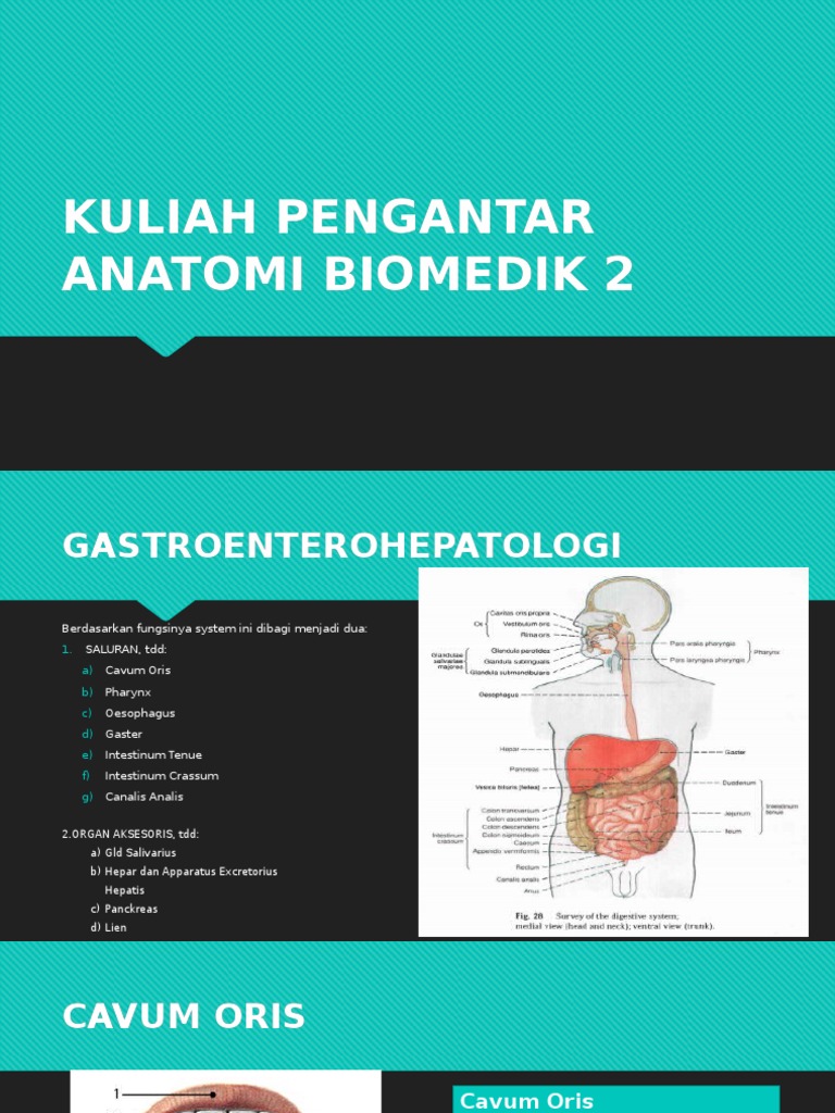 Kuliah Pengantar Anatomi Biomedik 2 | PDF