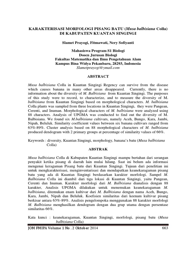 Karakterisasi Morfologi Pisang Batu | PDF