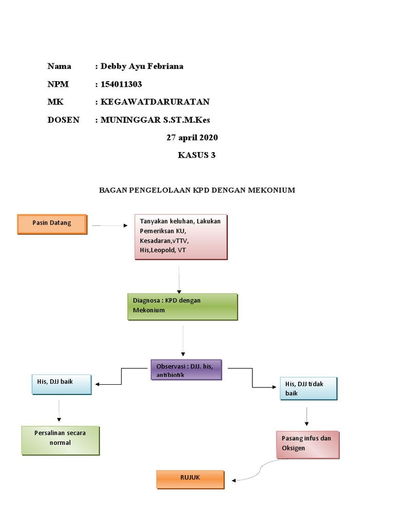 Kasus 3 Debby Ayu | PDF